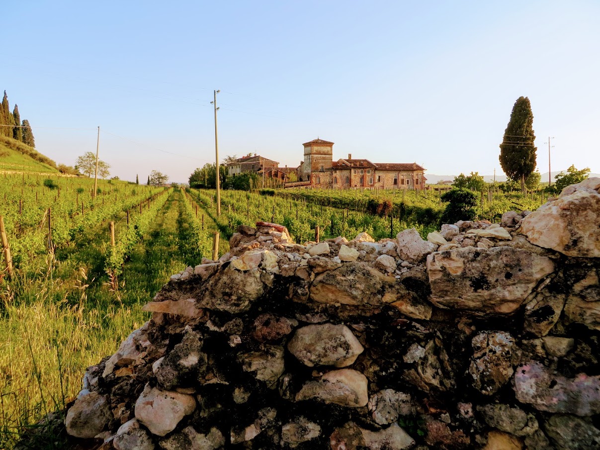 From Venice to Viareggio – coast-to-coast northern Italy! – Cypress Tours